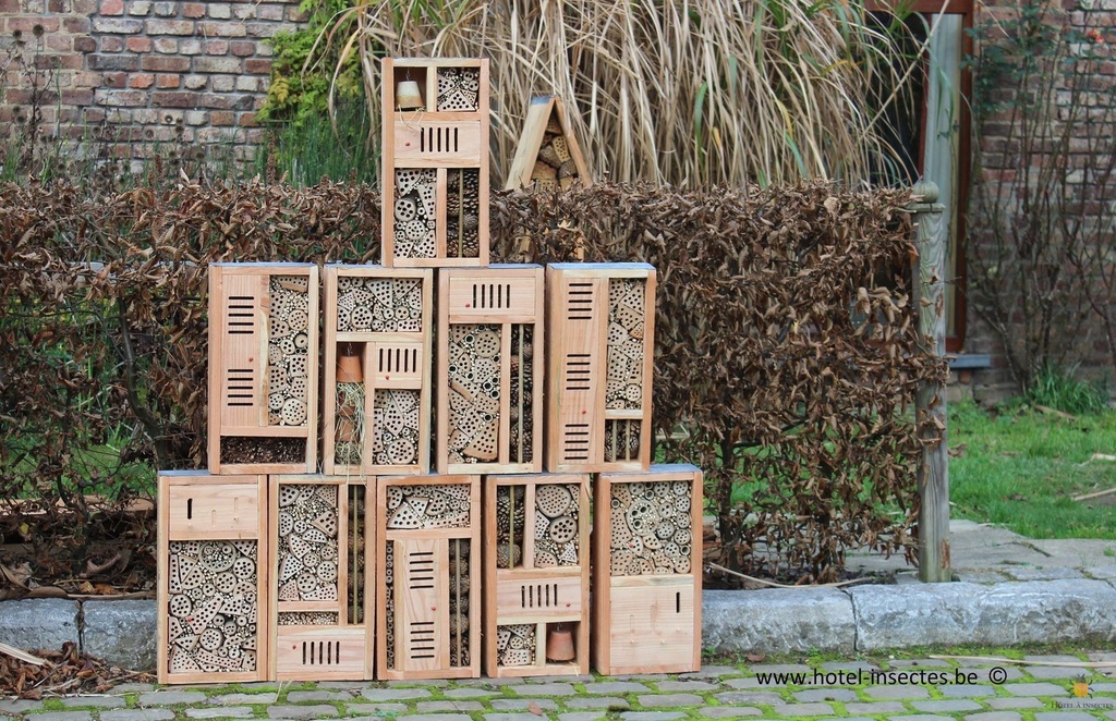 Boîte à insectes | Mathias bois